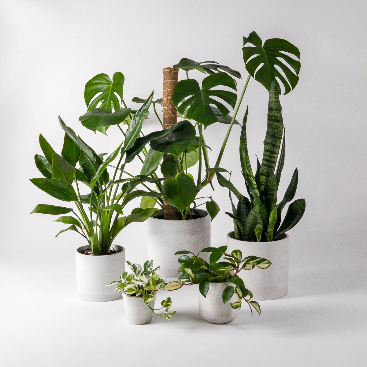 Signature Stone Planters Collection – Kanso Designs