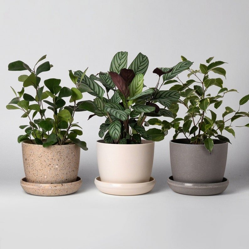 5" Upcycled Mini Planters – Kanso Designs